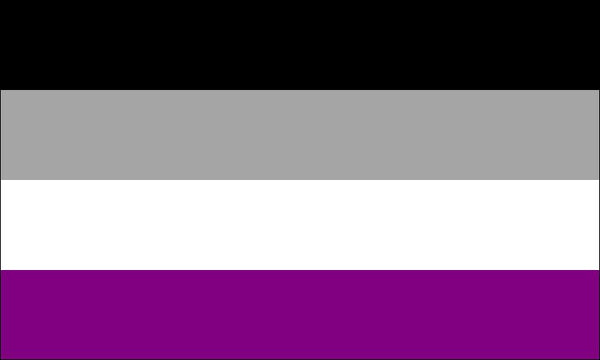 Quality affordable UK made custom Asexual PRIDE flags, stitched and ...