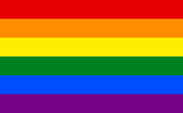 Quality affordable UK made custom PRIDE flags, stitched and printed ...