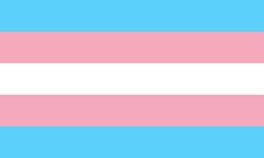 Quality affordable UK made custom TRANS GENDER PRIDE flags, stitched ...