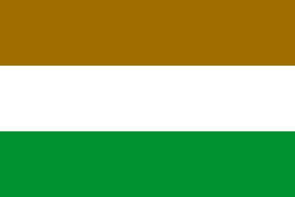Quality affordable UK made custom World flags. Transkei flag. – Flag Studio